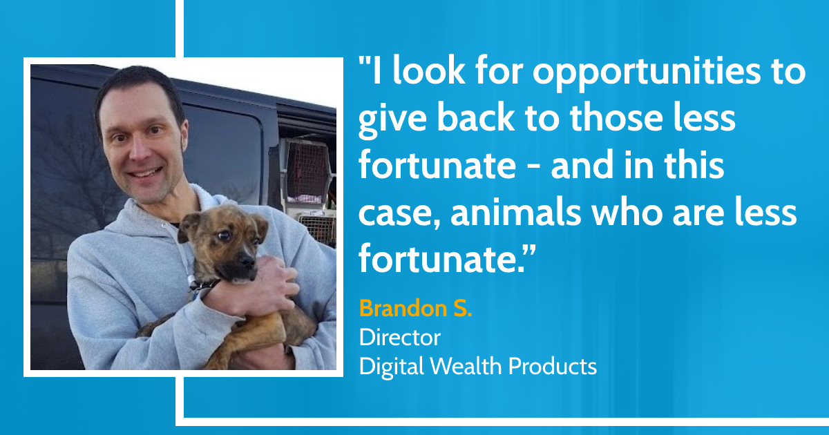 How We Hire | Schwab Jobs