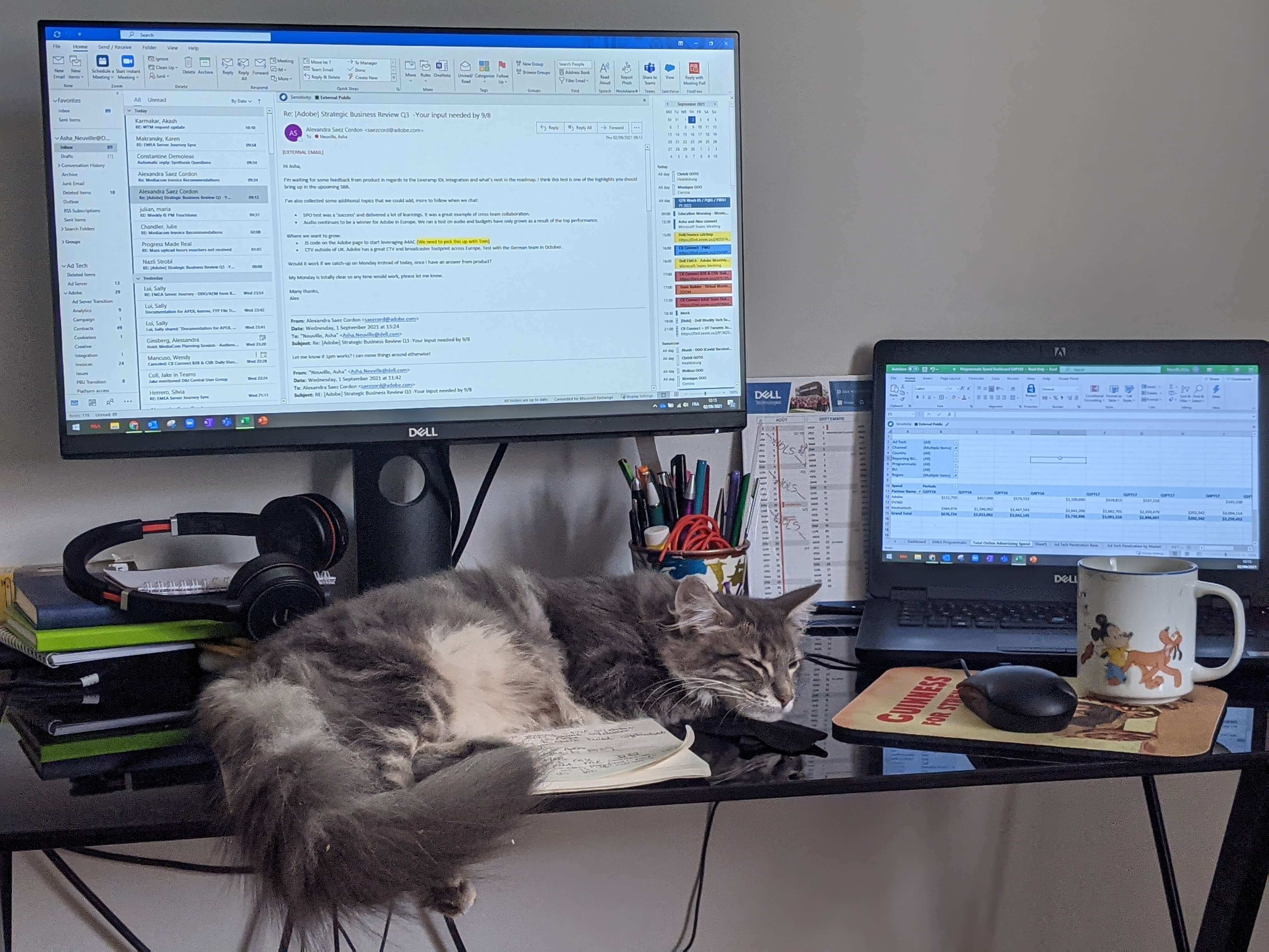 Dell Pets: Behind the Scenes with Scruffy