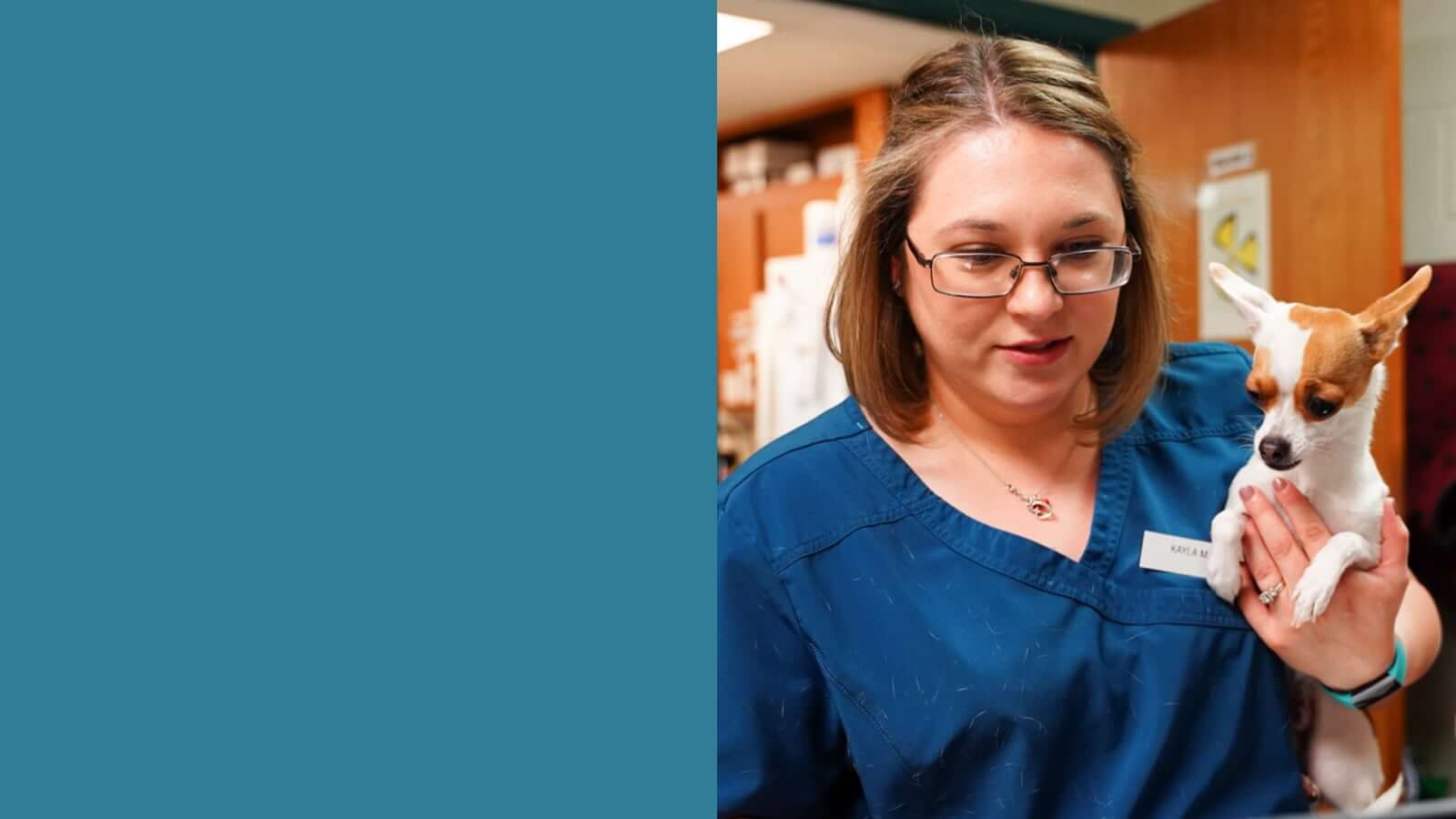 Explore Future Veterinarian Externships, Jobs and Careers at Heartland