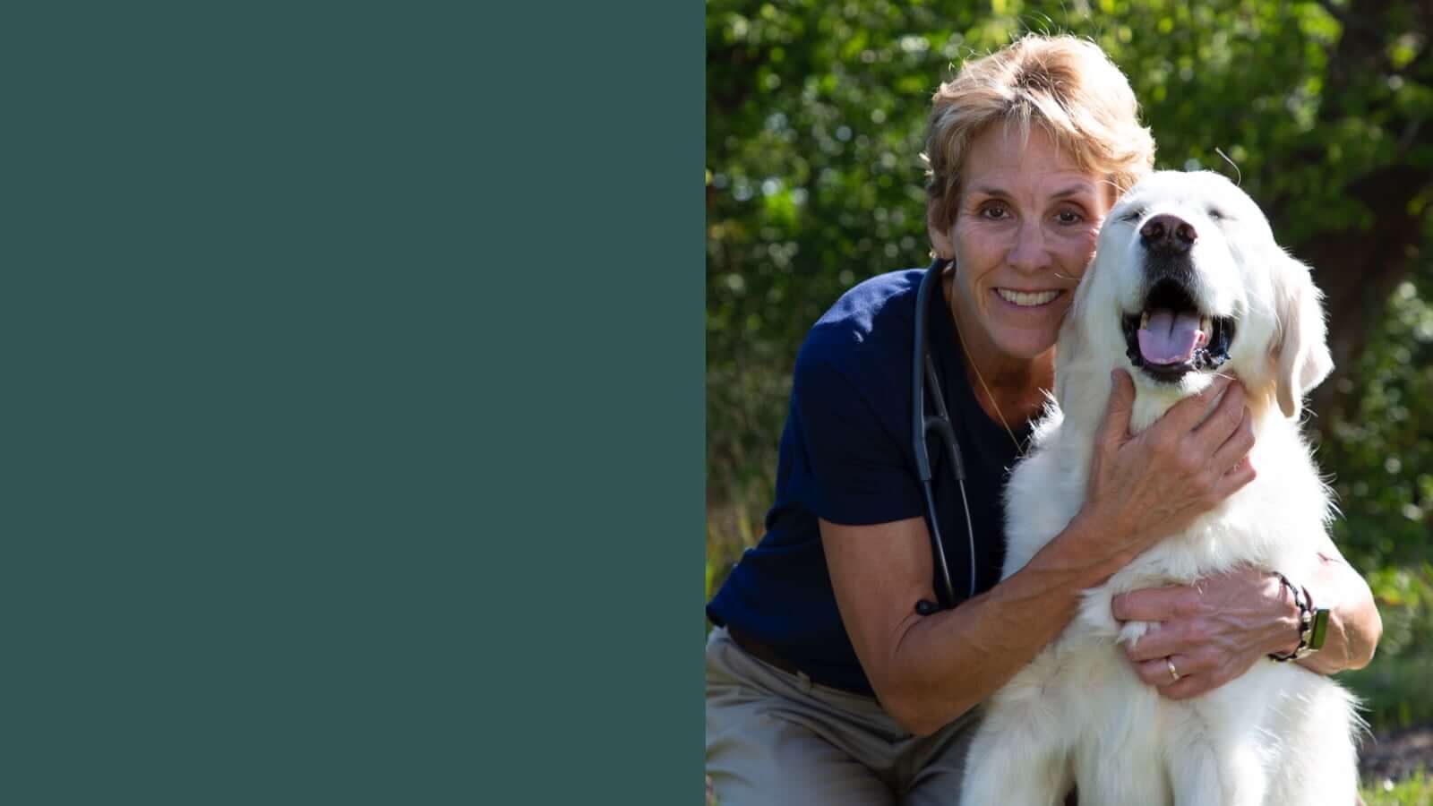 Learn More About Veterinarian Jobs and Careers with Heartland