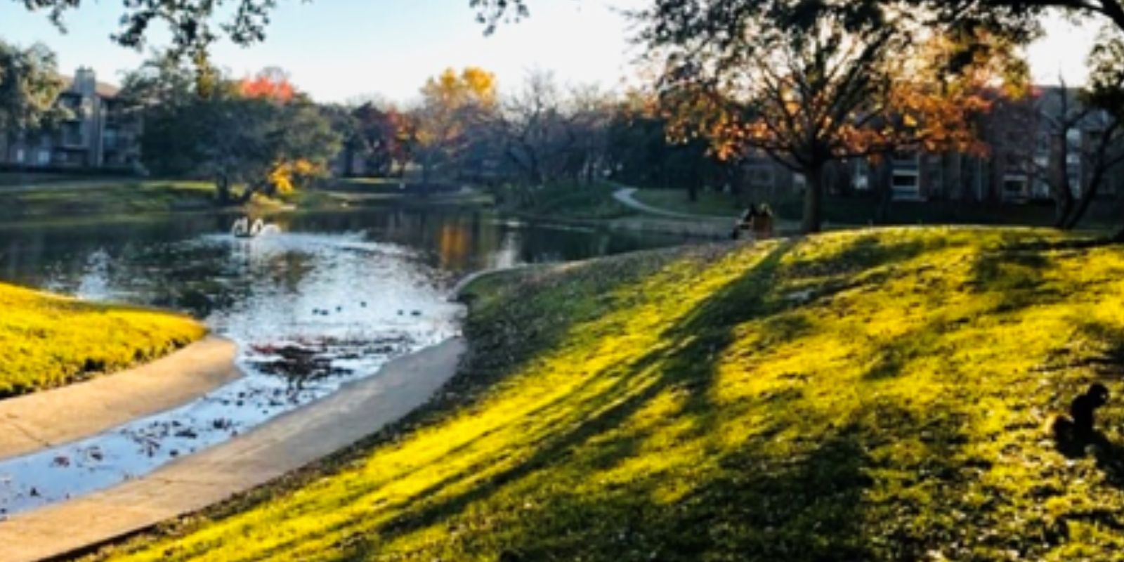 Meet Flauria: CRA的跨国跨文化体验